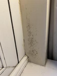 How to Tackle Mould in Your Home