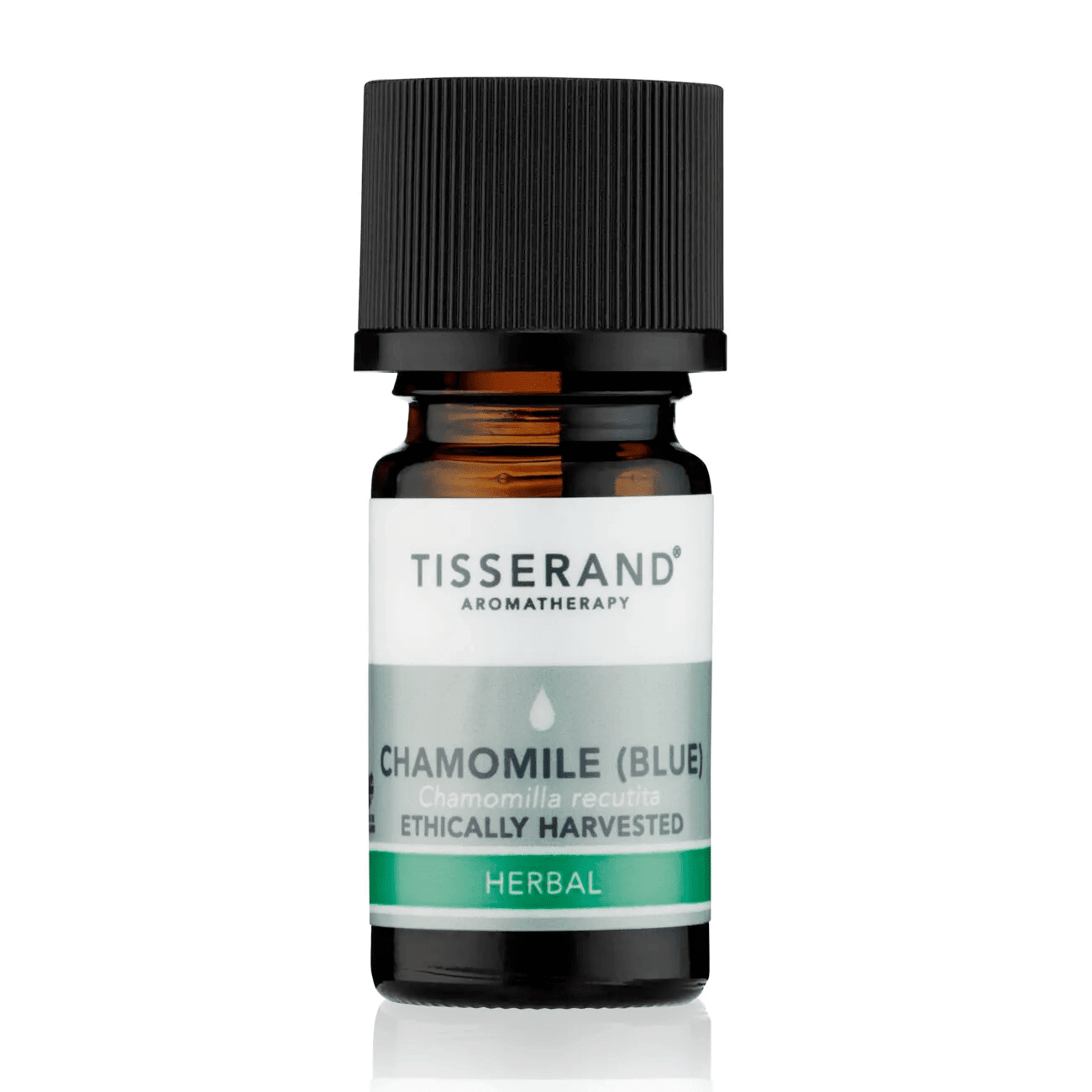 4 Safe Essential Oils for Diffusing Around Cats (and ones to avoid)